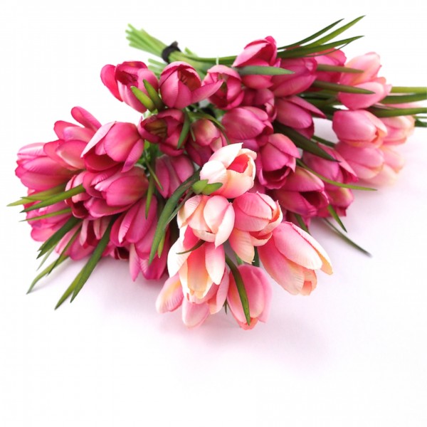 TULIP Mini Bundle Pale Pink - Star and Moss